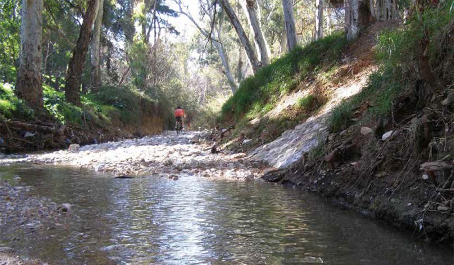 Halandri: The “Green Gazi” | Athens Insider