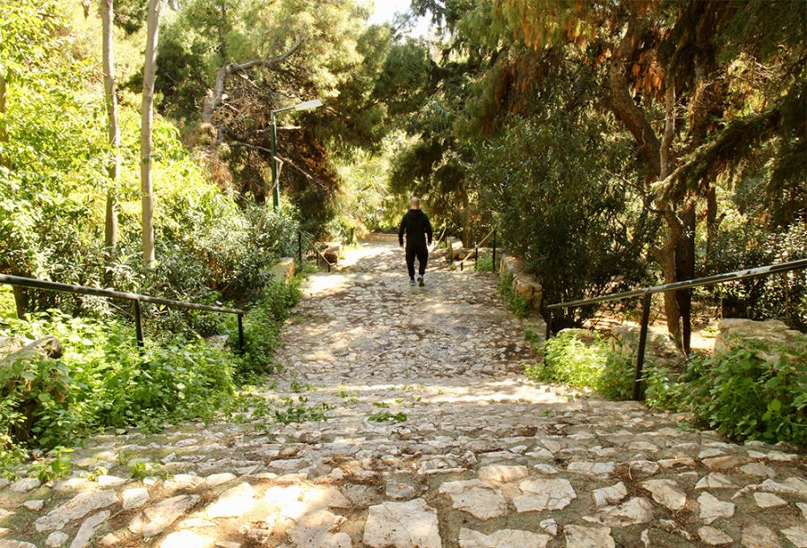Pangrati: The Authentic Athens | Athens Insider