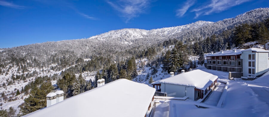 The Grand Forest | Athens Insider