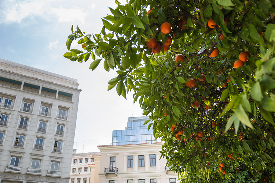 5 striking things about Athens | Athens Insider