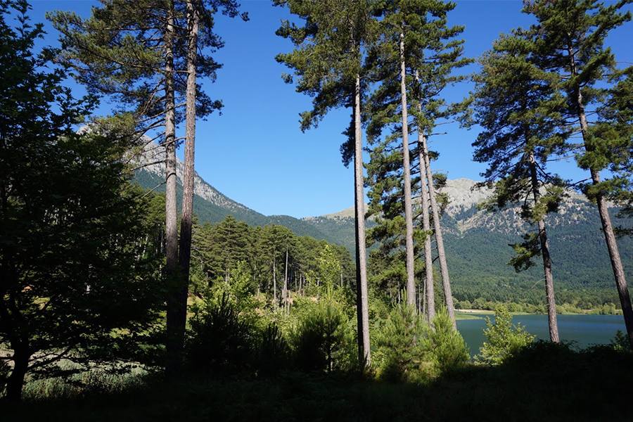 A Magical Tour of Greece. Part 3: Mountains | Athens Insider