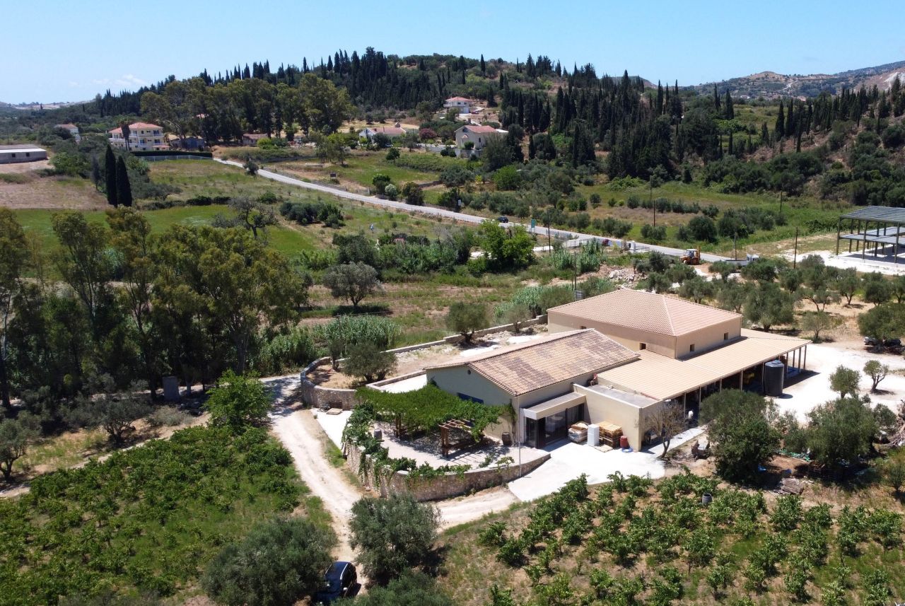 Orange Wines from Sclavos | Athens Insider